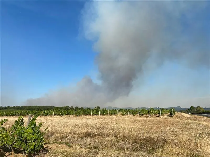 Incendies en Maine-et-Loire : ça brûle aussi à Beaulieu-sur-Layon, Vivy ...