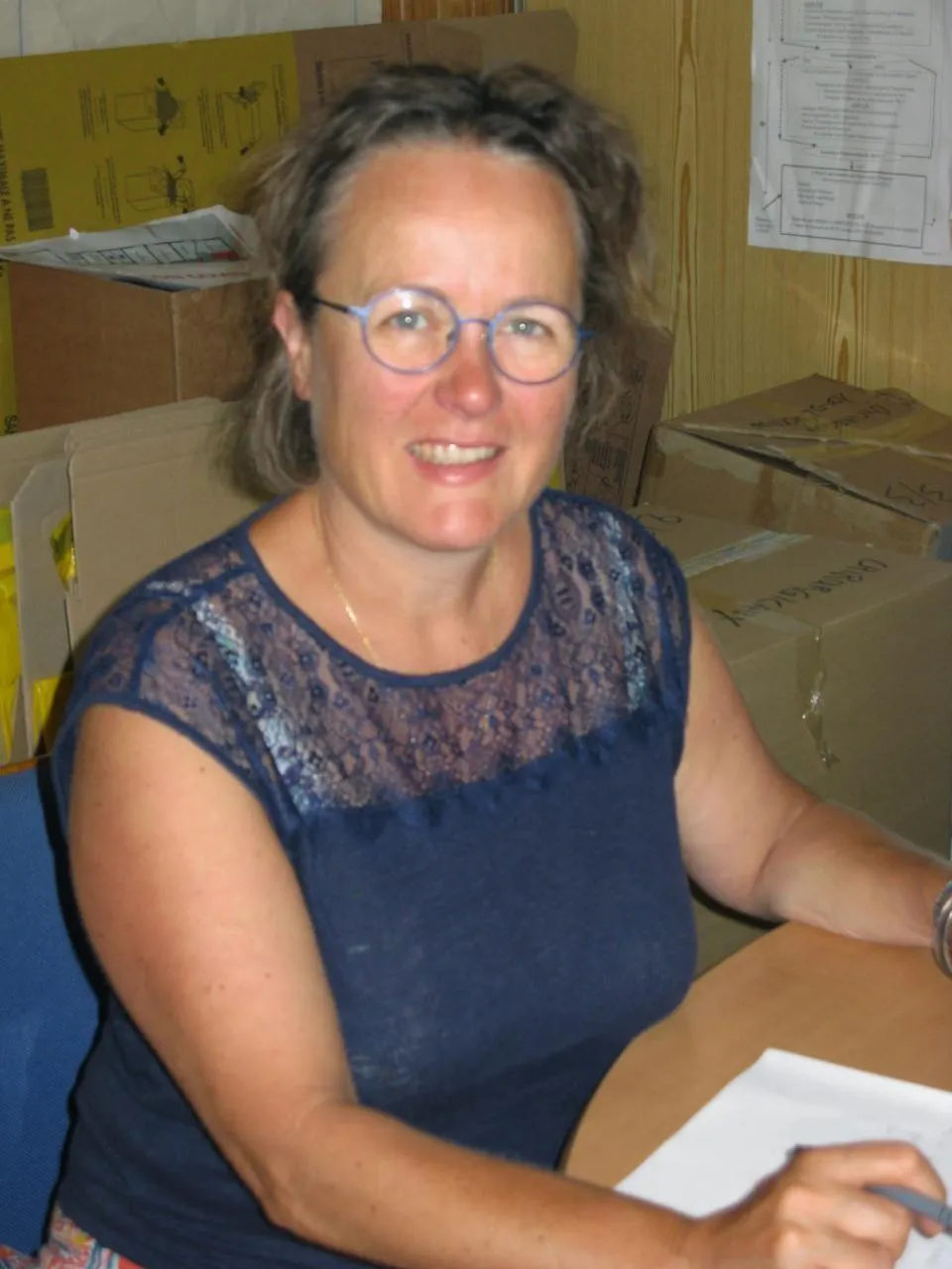 Pays d’Hennebont. Prad-Izel : plusieurs projets de nouveaux logements ...