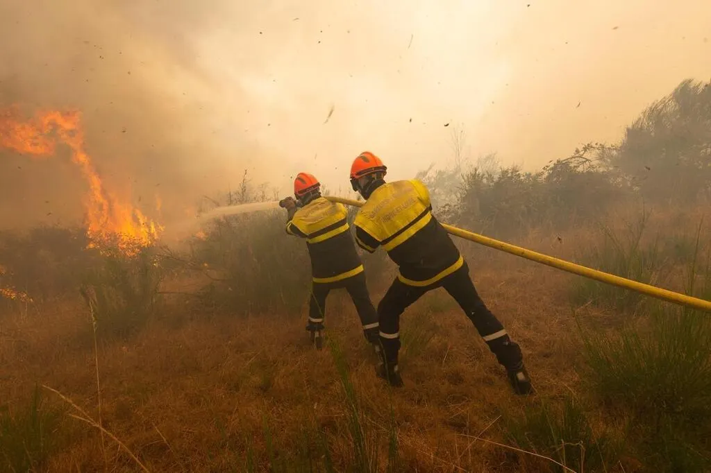 Incendies. Comment trouve-t-on l’origine d’un feu ? - Nantes.maville.com