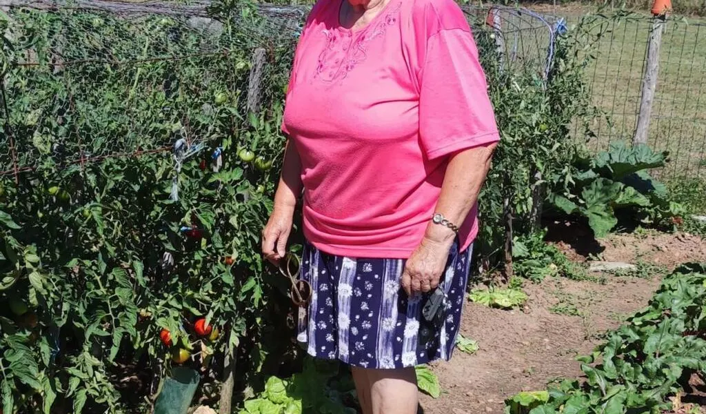 Villaines-sous-Lucé. Exposez vos légumes au comice agricole - Le Mans ...