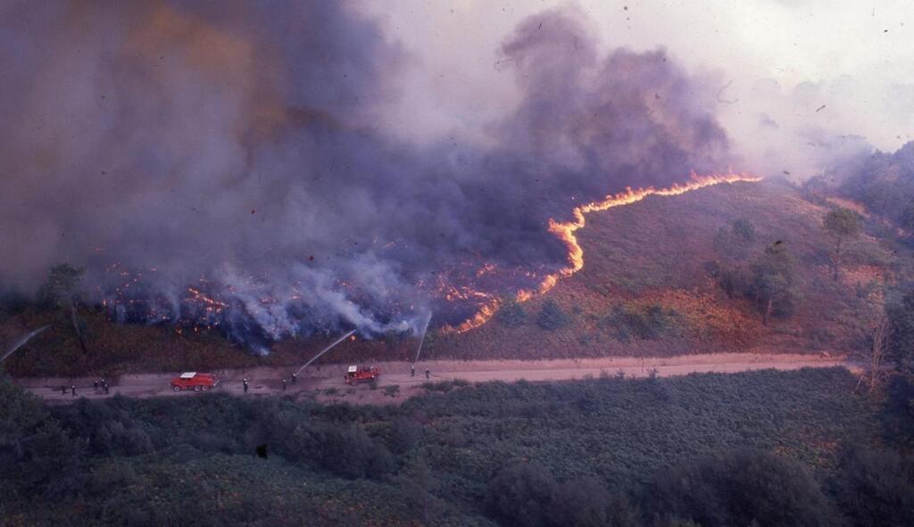 RÉcit En 1990 La Forêt De Brocéliande était Déjà Ravagée Par Le Feu