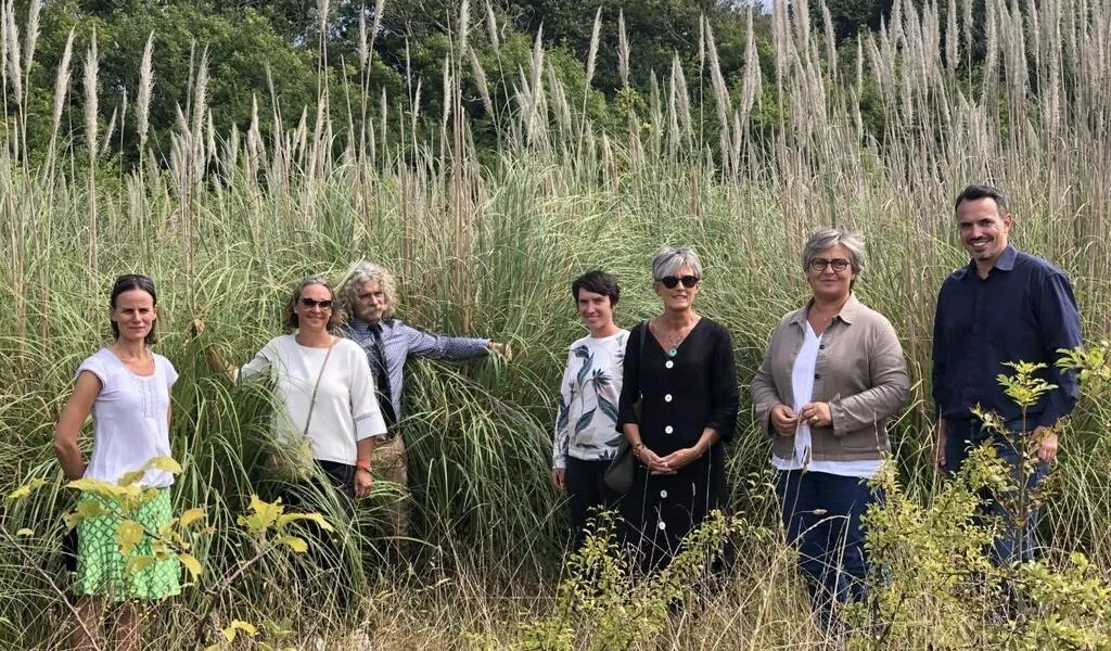 Plœmeur chasse le plumeau pour sauver la flore du littoral - Lorient ...