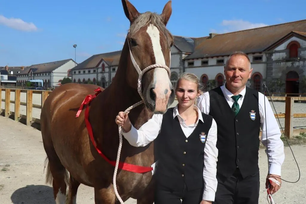 Côtes-d’Armor. « On est des passionnés » : le concours du cheval breton ...