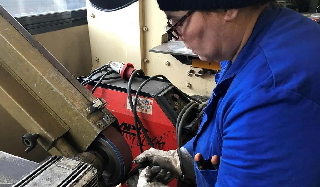 Égalité femmes-hommes. La fédération des entreprises d’insertion s ...