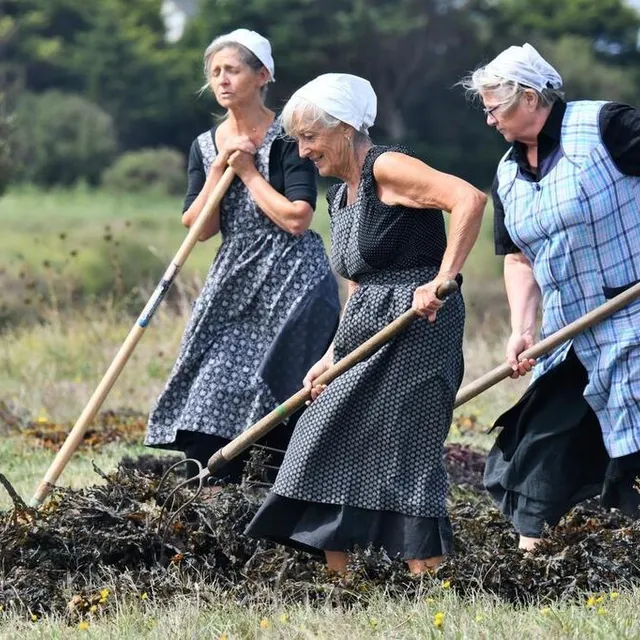 Plouguerneau. La 37e fête des goémoniers a transporté le public dans ...
