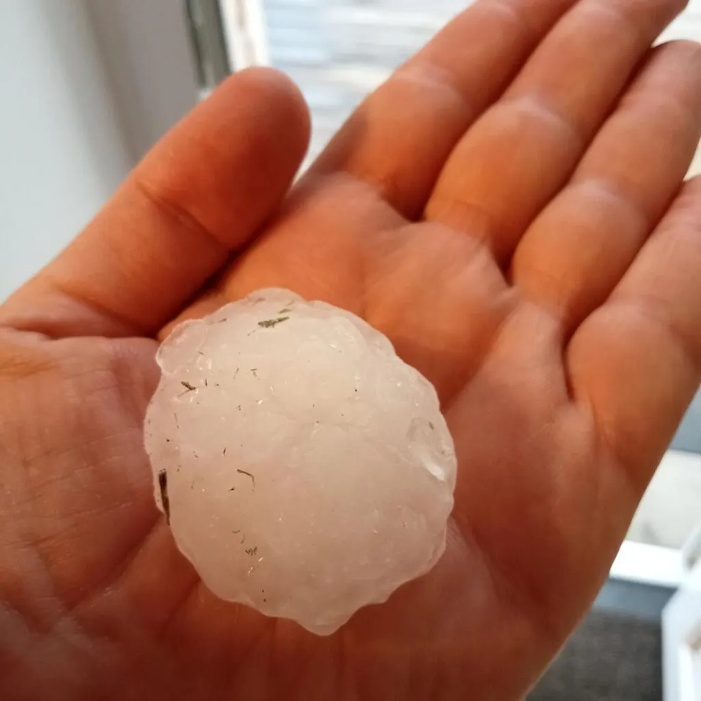 Des grêlons de 4 cm en Mayenne : « De vraies balles de ping-pong qui ...