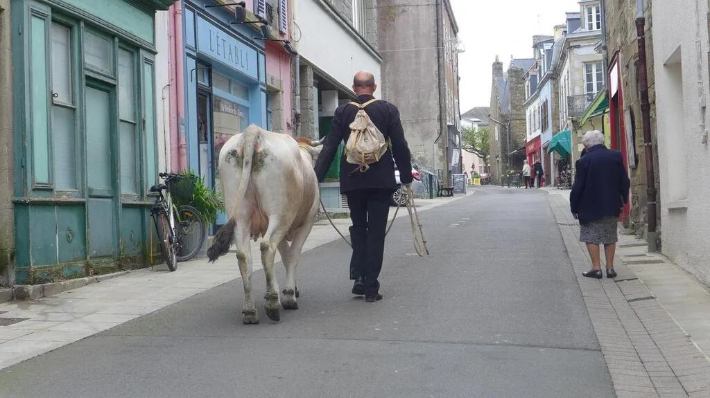 L’artiste Robert Duval et sa vache ne déambuleront pas dans les rues du ...