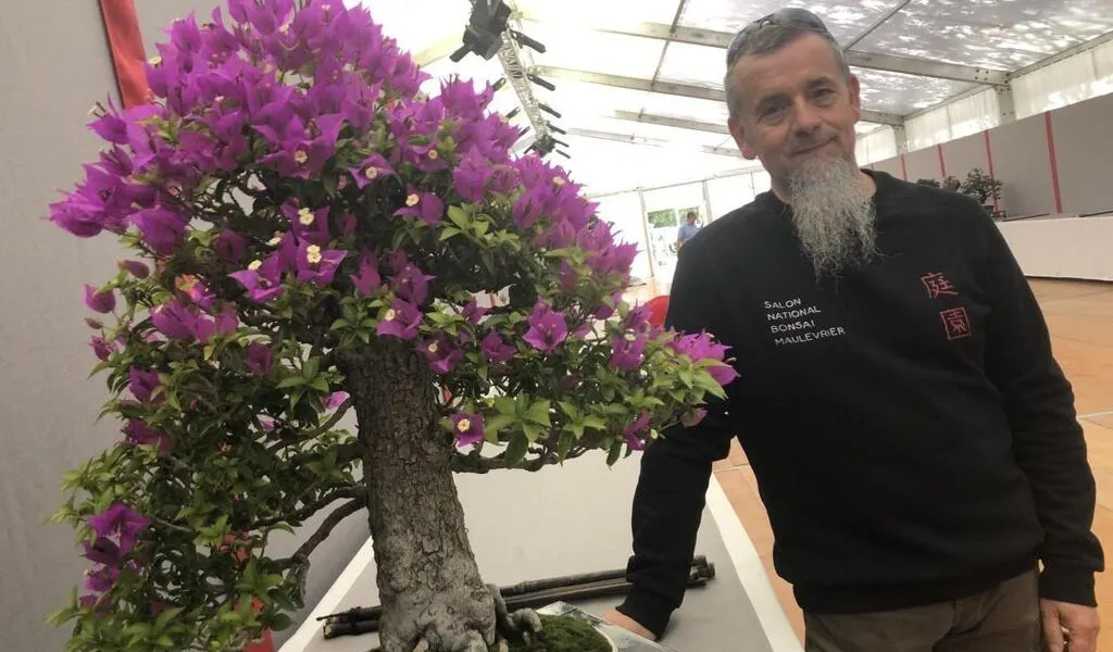 Cholet. David Jamet : « Un bonsaï, c’est une philosophie et une émotion ...