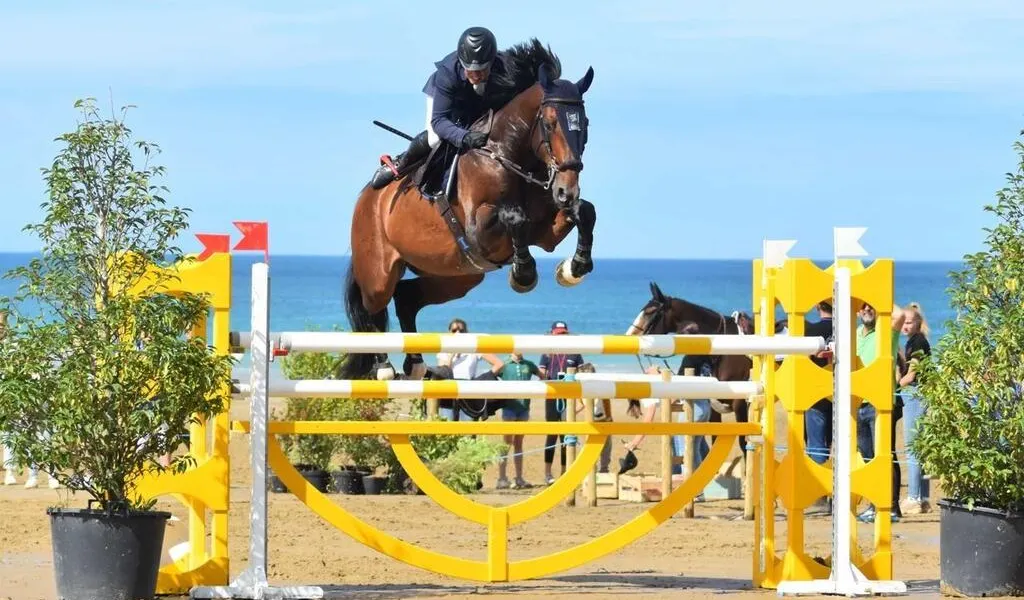 Équitation. Benjamin Devulder fait coup double au Jumping d’Erquy ...