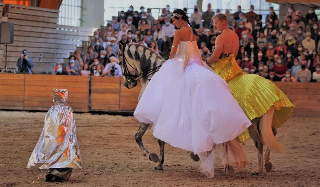 Lamballe-Armor. Le concours de spectacle équestre « Le Pied à l’Étrier ...