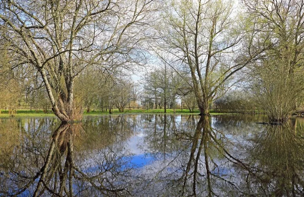 Saint-Colomban. Un écosystème protégé riche de 352 espèces animales et ...