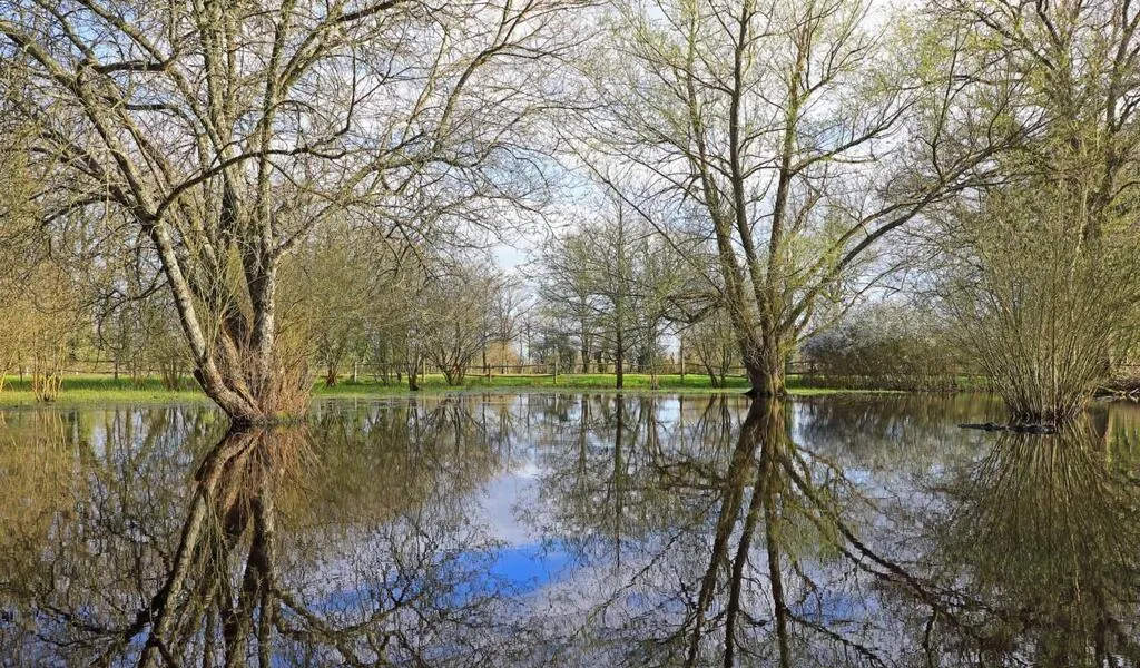 Saint-Colomban. Un écosystème protégé riche de 352 espèces animales et ...