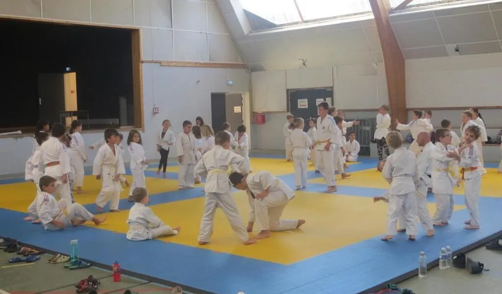 Mellac. Judo : des effectifs en forte hausse au club - Brest.maville.com