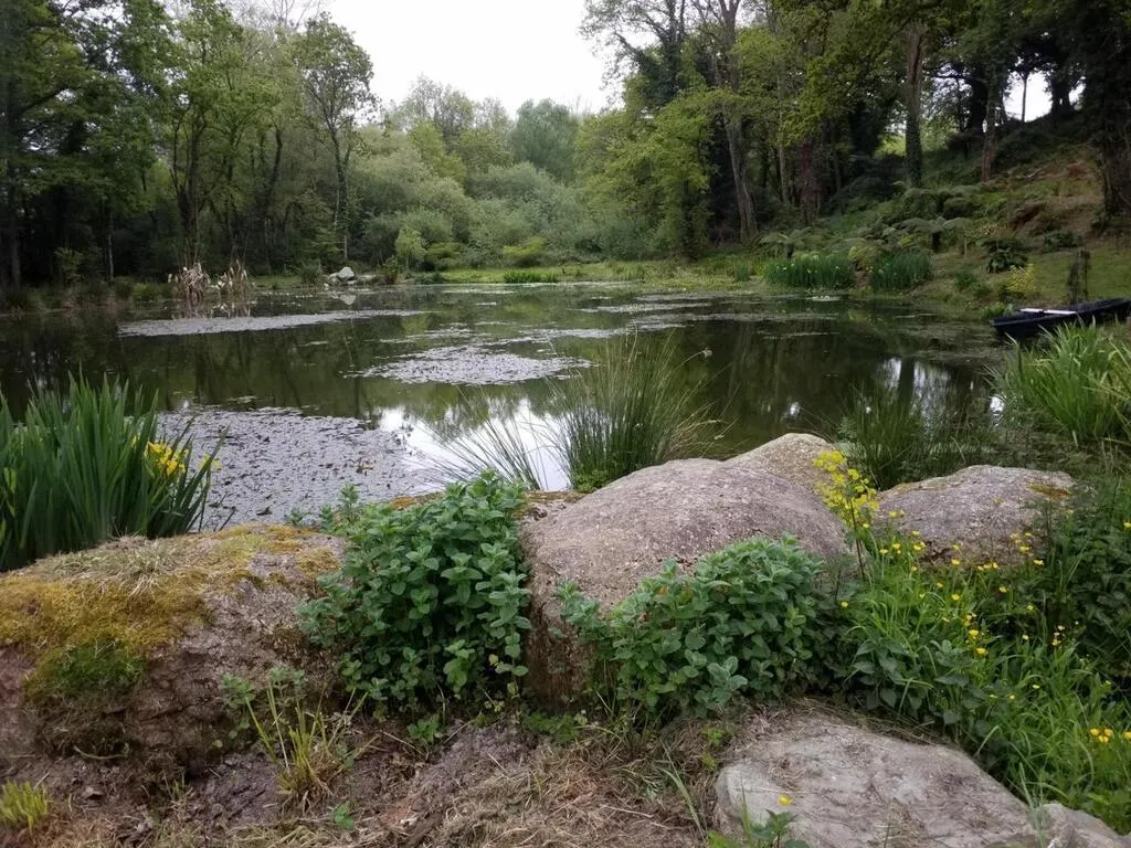 C’est l’automne : six événements à ne pas manquer dans les parcs et jardins de l’Ouest - Rennes ...