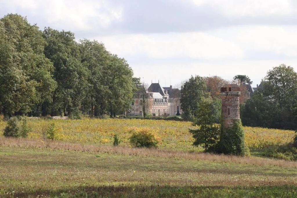 Au Cellier, la vente du parc de Louis de Funès sème la zizanie - Nantes ...