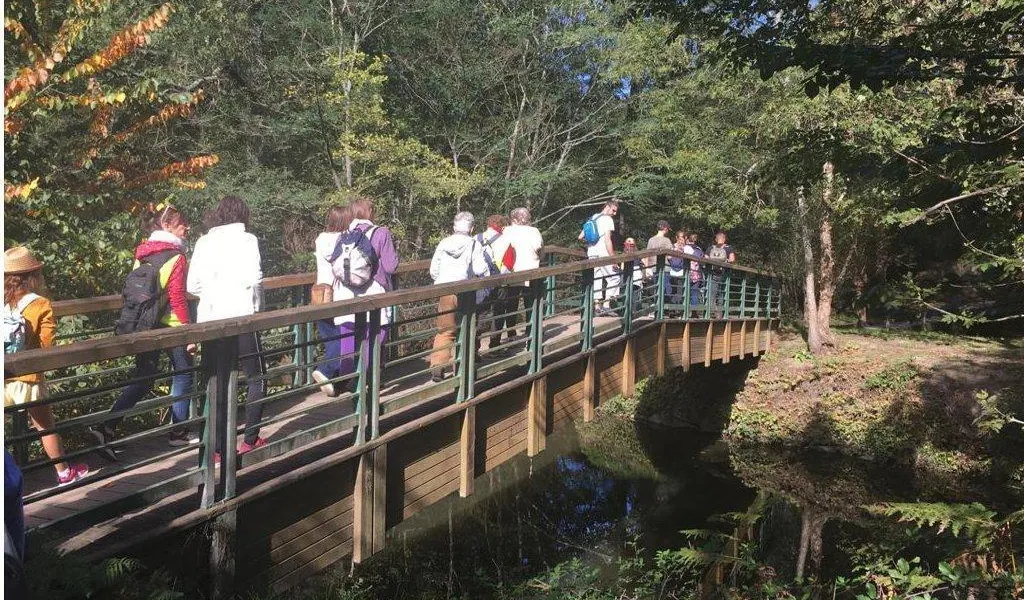 Rives de l'Yon. Une randonnée réussie avec le collectif santé - La Roche sur Yon.maville.com