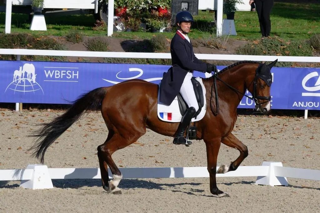 Équitation. D’un Mondial du Lion à l’autre, une année dans les pas de ...
