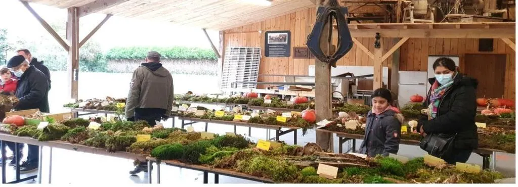 Vigneux-de-Bretagne. Les animations des vacances de Toussaint à l ...