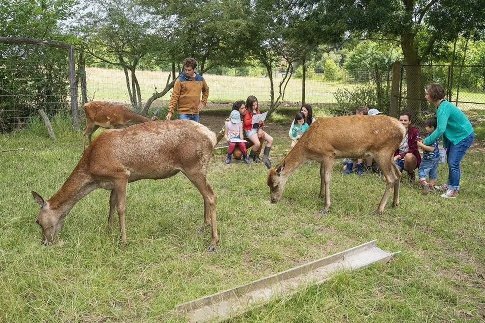 Valanjou. Les Cerfs de la Fardellière, « Table des Mauges » fermière et ...