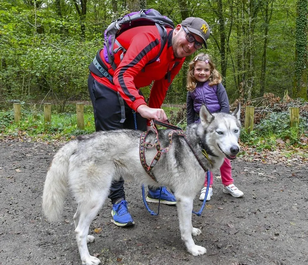 EN IMAGES. La cani-rando en forêt, déconnexion totale - Le Mans.maville.com