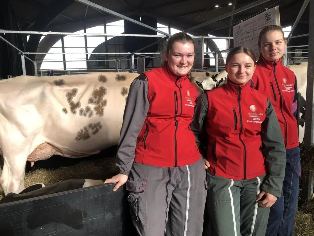 EN IMAGES. À Château-Gontier, la passion de l’élevage se transmet au concours de - Laval.maville.com