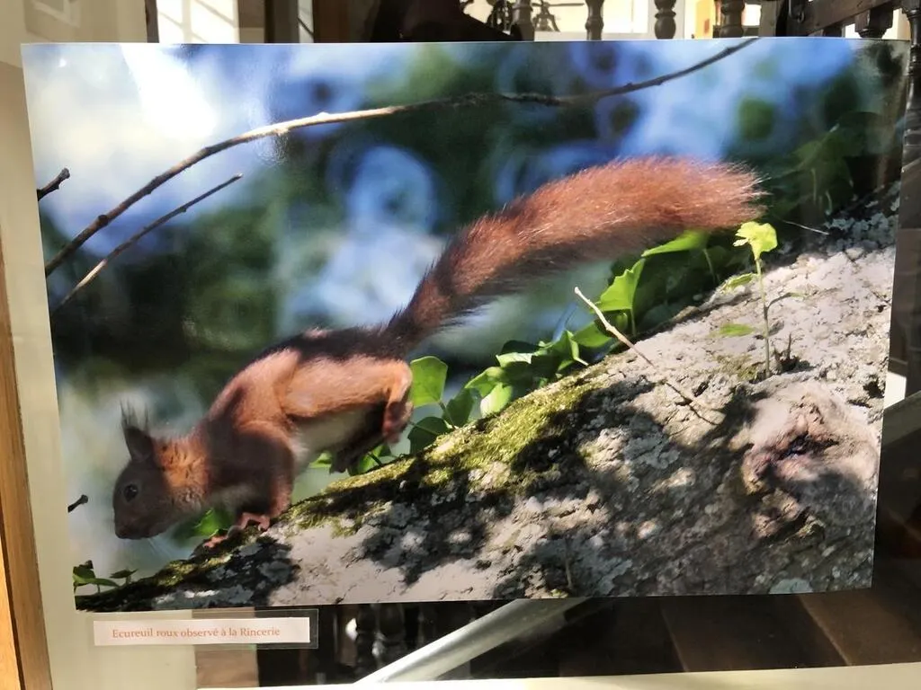 « Quand Yolan parle de ses photos c’est une autre personne », ce jeune ...