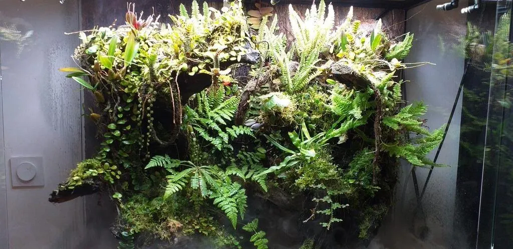 Locoal-Mendon. Green atmosphère créations fait entrer la nature dans ...