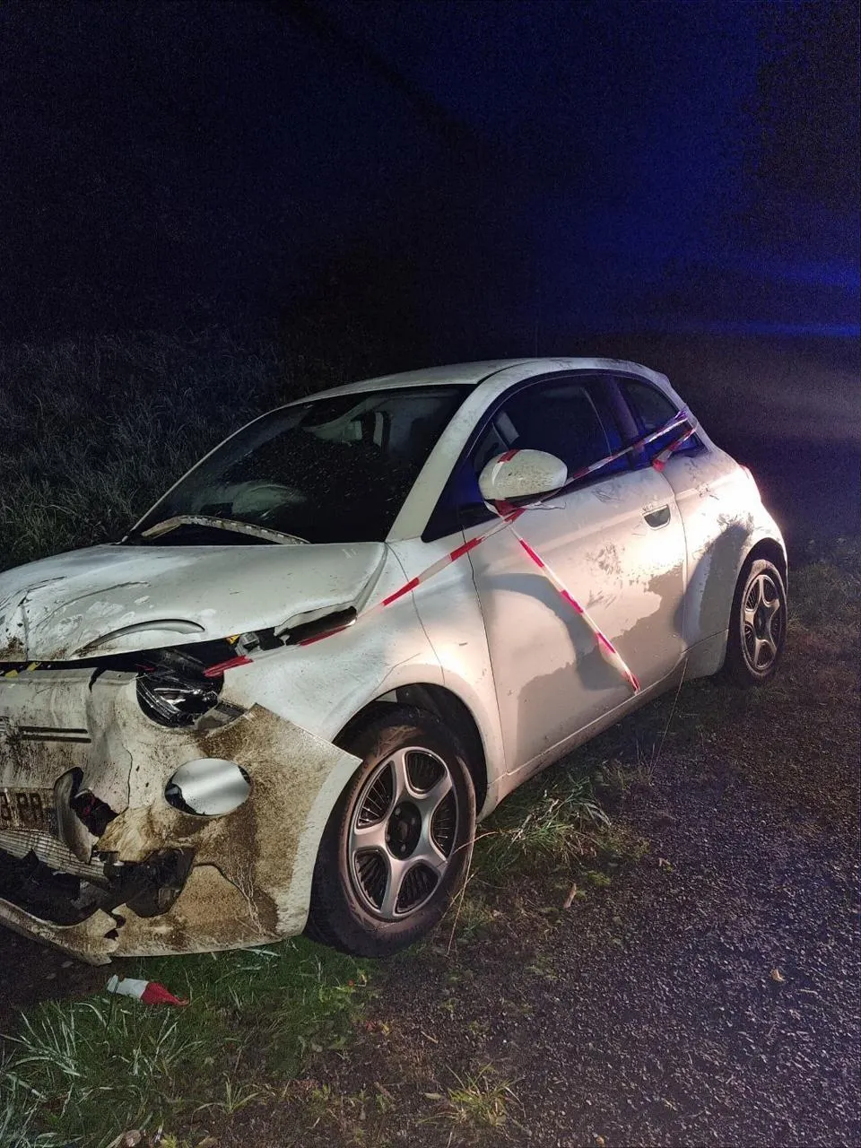 A Bressuire, un sanglier traverse la nationale et provoque un accident : la conductrice choquée ...