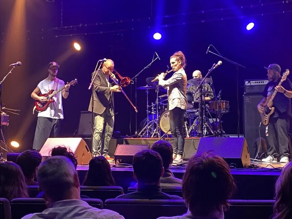 ENTRETIEN. Festival les Boréales : « Un focus Björk pour son ...