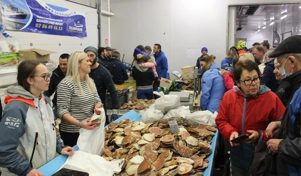 EN IMAGES. La foule à la fête de la coquille Saint-Jacques de Grandcamp ...