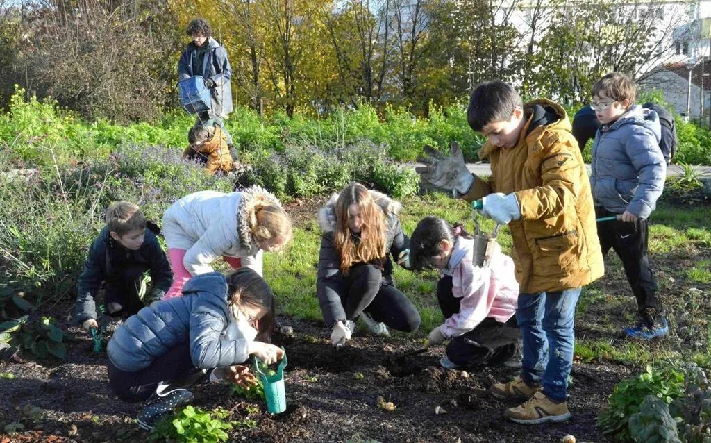 Pouzauges. De nouvelles plantations au jardin de la résidence des ... Pouzauges. De nouvelles plantations au jardin de la résidence des ...