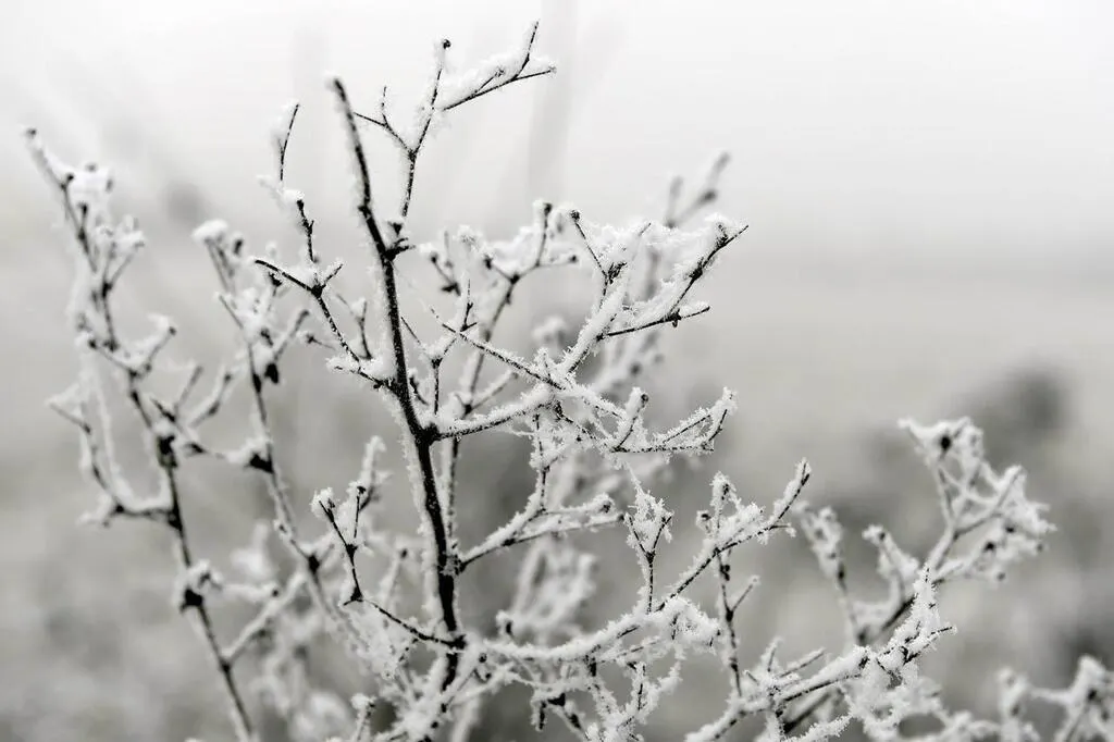 Neige en Normandie : les premiers flocons sont bel et bien tombés dans ...