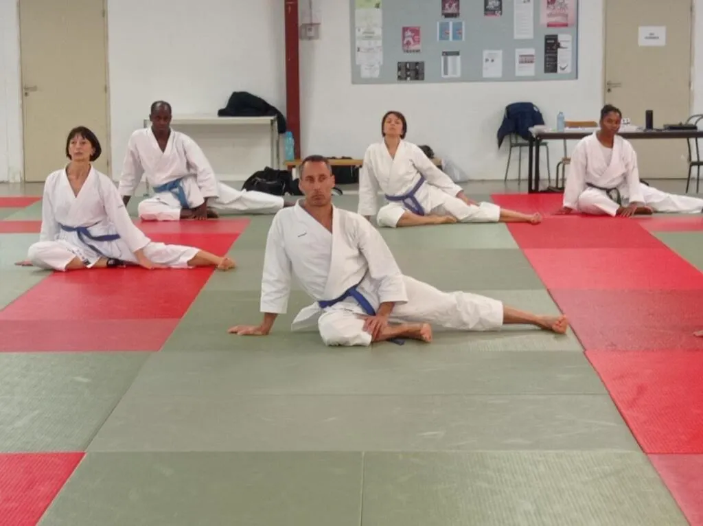 La championne de karaté Nadia Dumont était au dojo de Vern-sur-Seiche ...