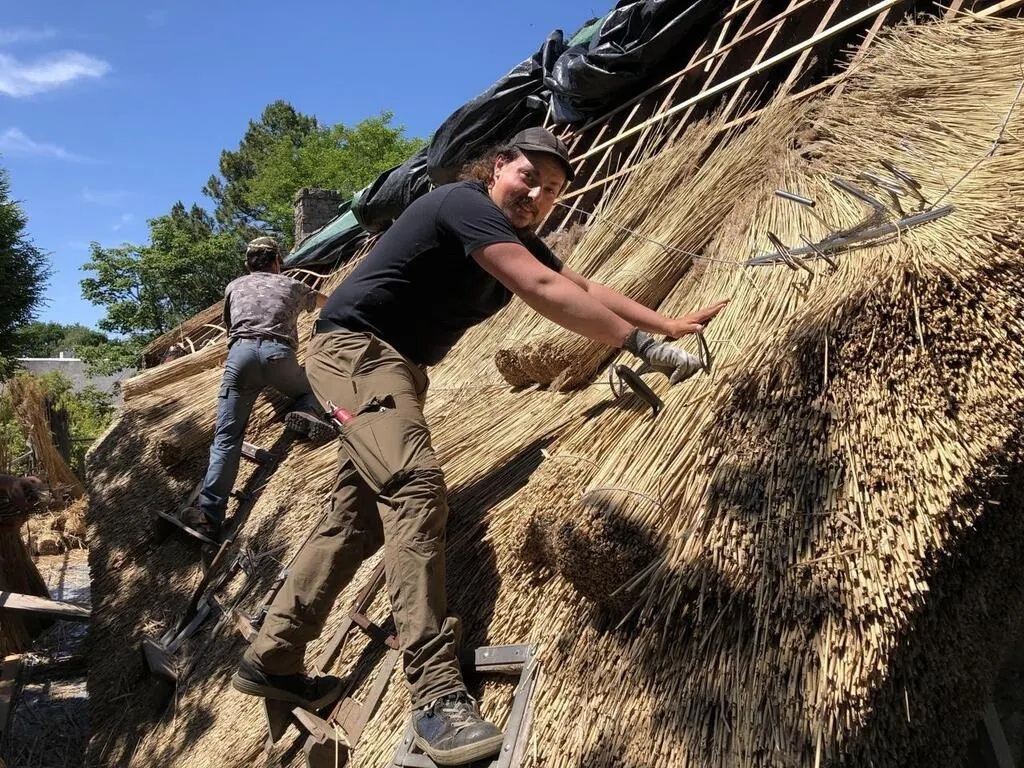 Le pourrissement du chaume met en péril l’identité du parc naturel ...