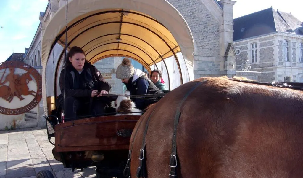 Saint-Aubin-du-Cormier. Des tours en calèche, c’est chouette pour fêter ...