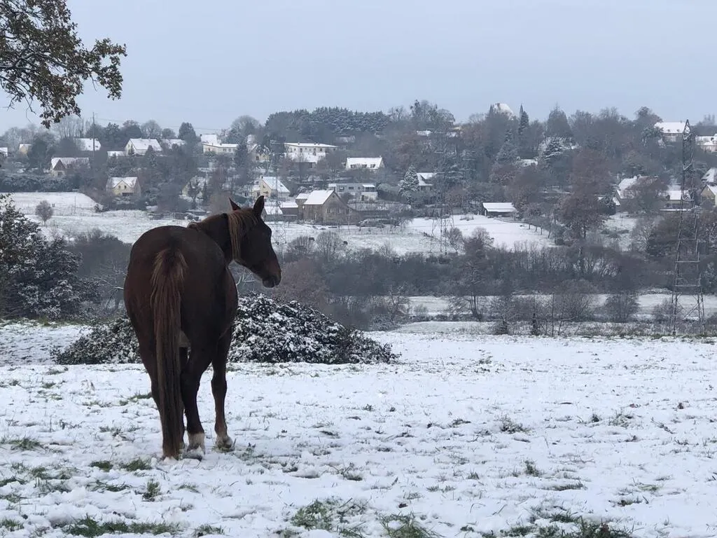 EN IMAGES. Neige dans la Manche : le centre et le sud du département ...