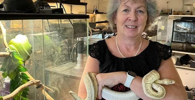 Vipères, couleuvres, pythons… Elle vit avec une vingtaine de serpents ...