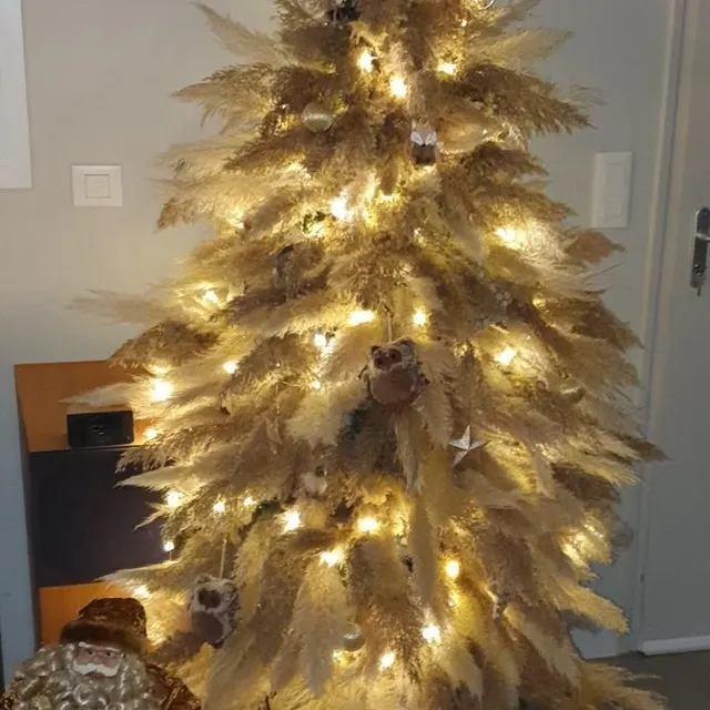 EN IMAGES. Les dix plus beaux sapins de Noël de nos internautes ...