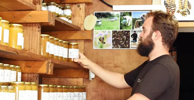 Les 33 millions d’abeilles de la Fontaine au miel, à Pornic - Saint-Nazaire.maville.com