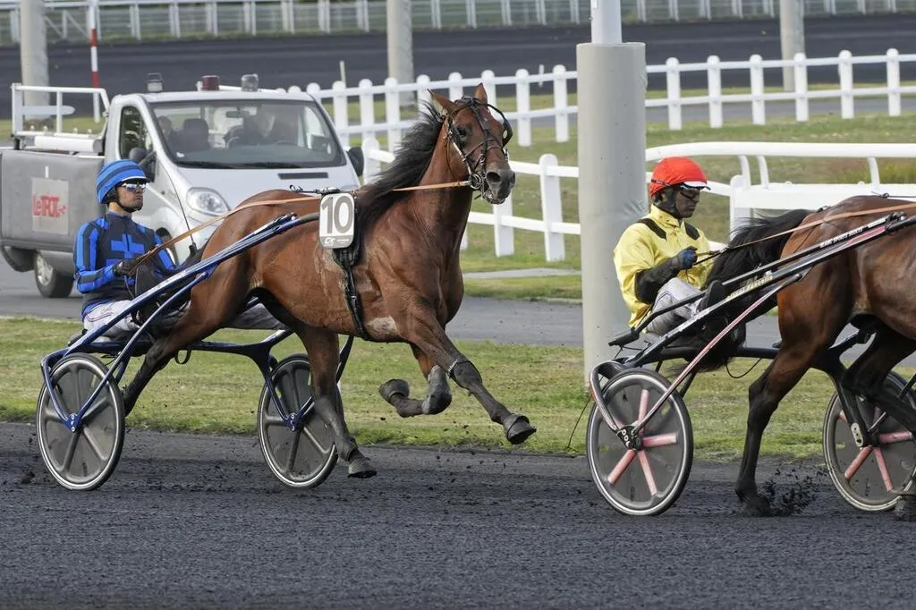 Critérium continental et Prix Ténor de Beaune : des partants de gala ...