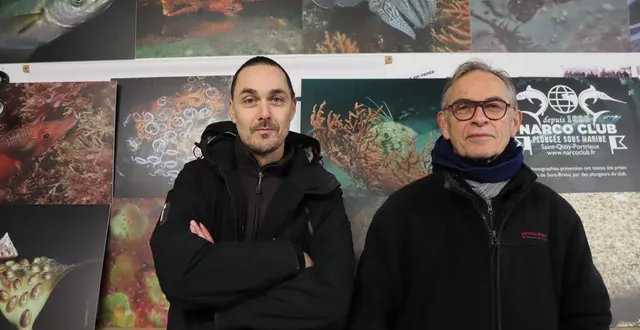 Ils ont photographié les beautés sous-marines de la baie de Saint-Brieuc - Guingamp.maville.com