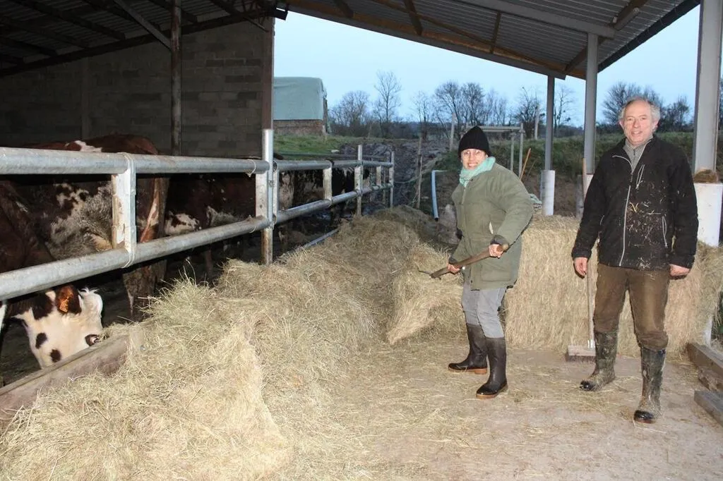 Camembert. « Aujourd’hui nous sommes des paysans fromagers » . Sport ...