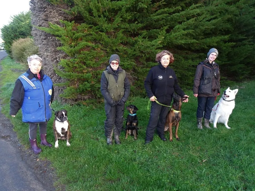Pordic. Le Trégueux sport canin pratique le pistage français dans les ...