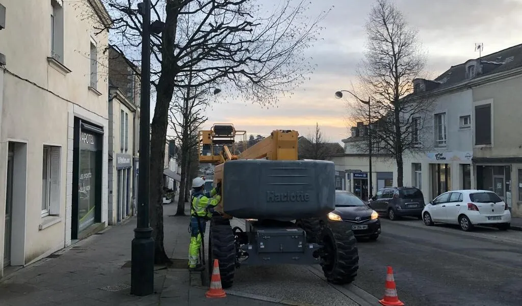 À Château-Gontier, les arbres sont en cours de taille avenue de Razilly ...