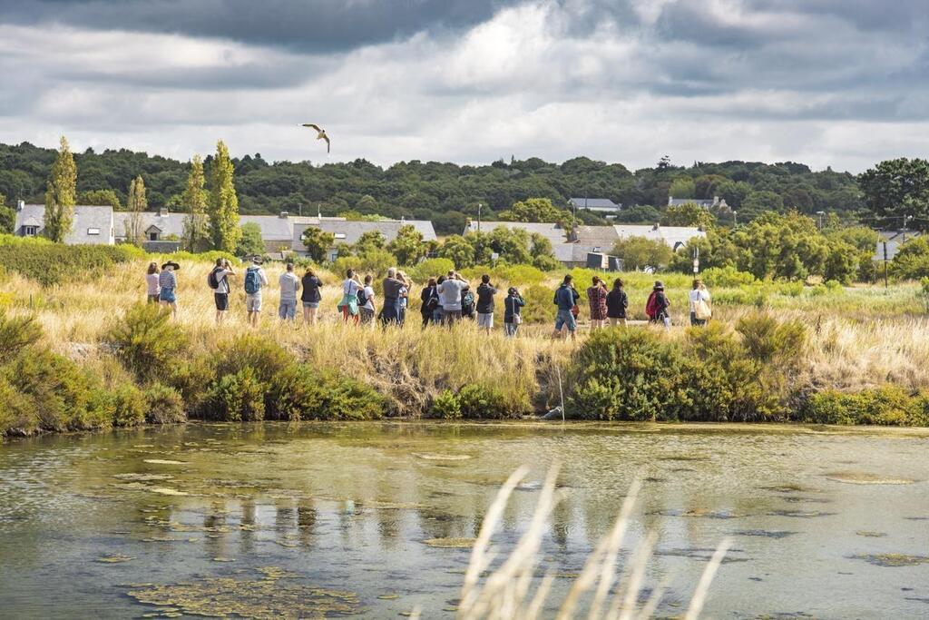 À Guérande, Terre de Sel attire de plus en plus des visiteurs - Saint ... À Guérande, Terre de Sel attire de plus en plus des visiteurs - Saint ...