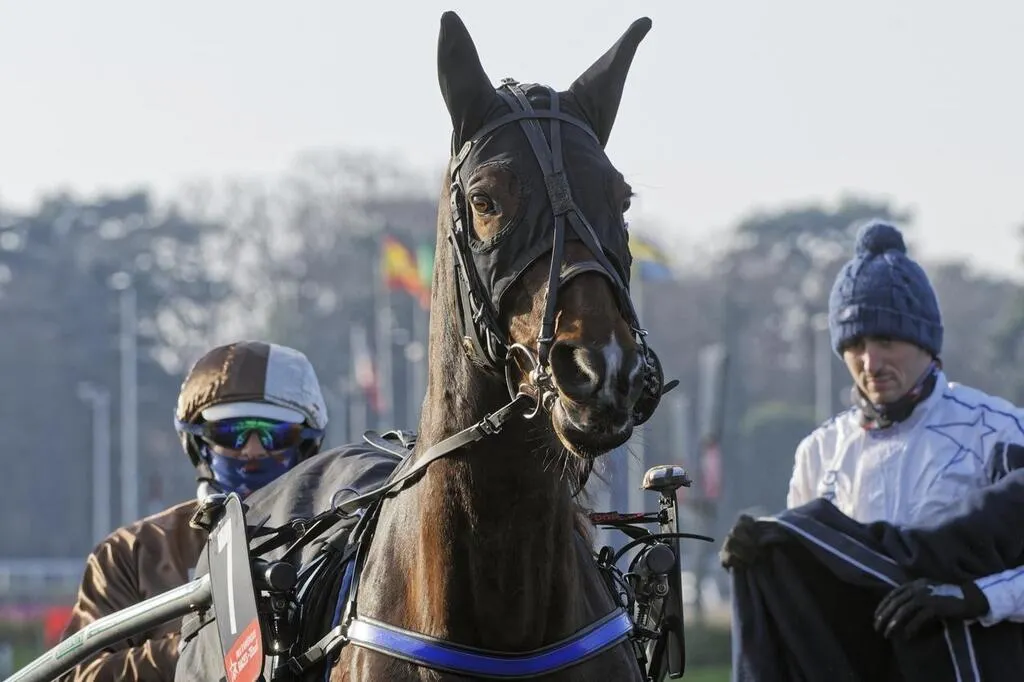 « La plus grande course hippique du monde » : cet entraîneur breton va ...