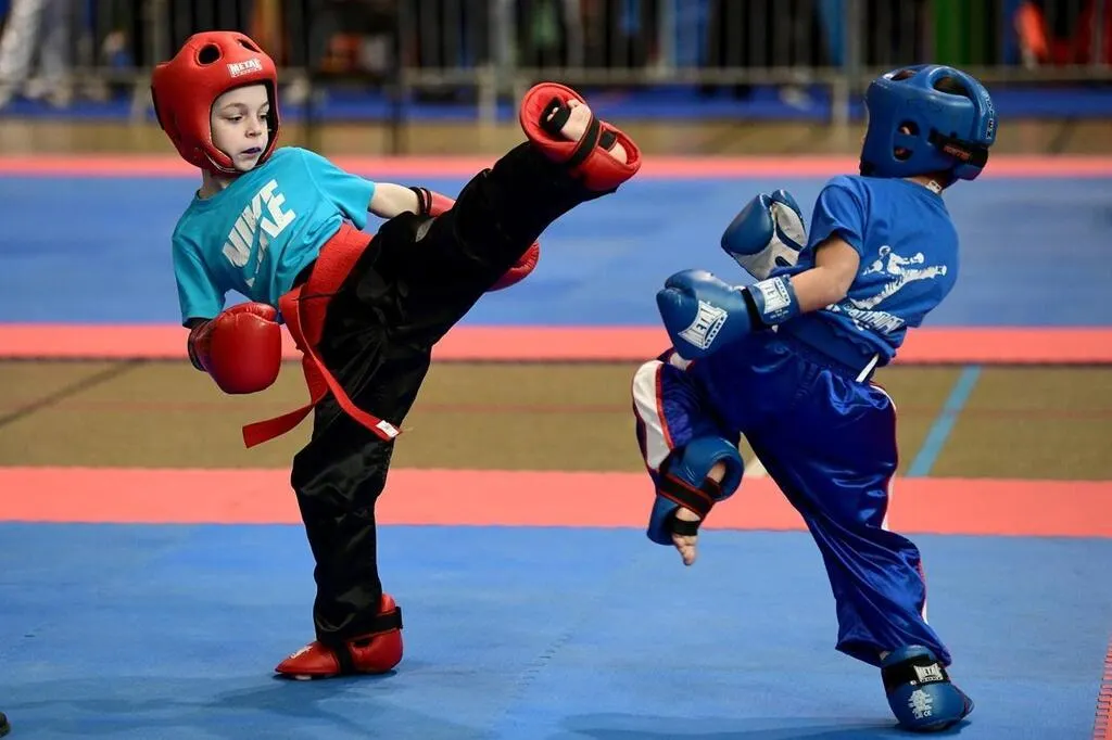 Karaté. Coupe des Pays de la Loire : la Loire-Atlantique dominatrice ...