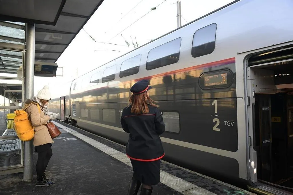 Un bébé naît en gare de Lorraine TGV dans un train reliant Paris à l ...