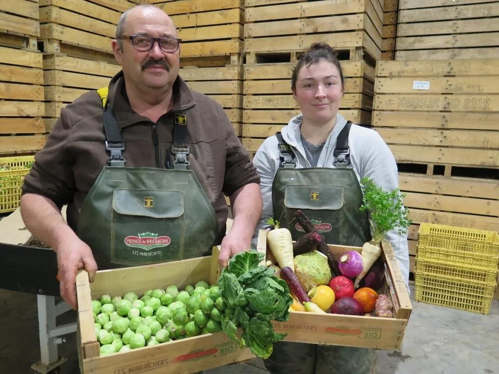 Crise du bio : même les beaux légumes souffrent - Quimper.maville.com