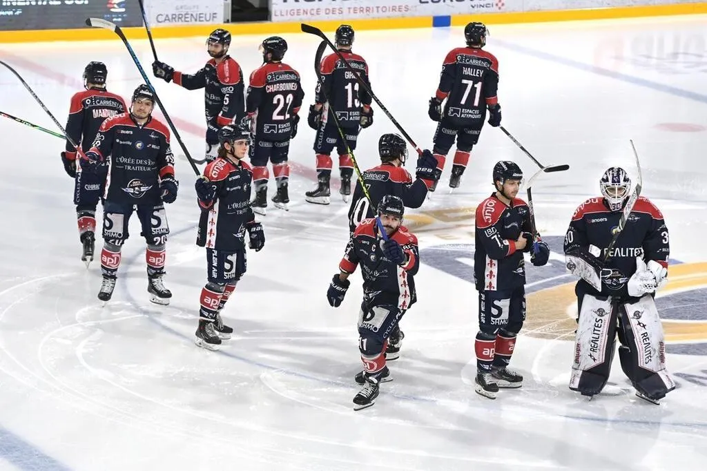 Hockey sur glace – Ligue Magnus. Nik Simsic vient renforcer les Ducs d ...